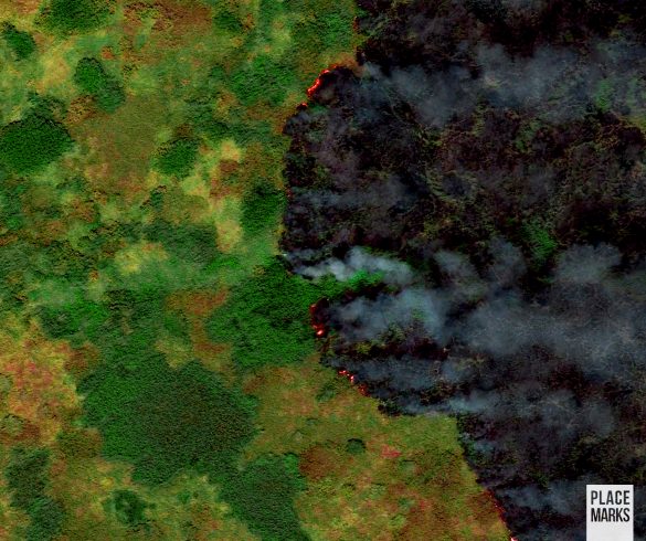 Il rogo che divora la savana – Rivista Africa