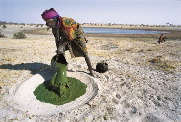 Lago Ciad, alghe e sabbia – Rivista Africa