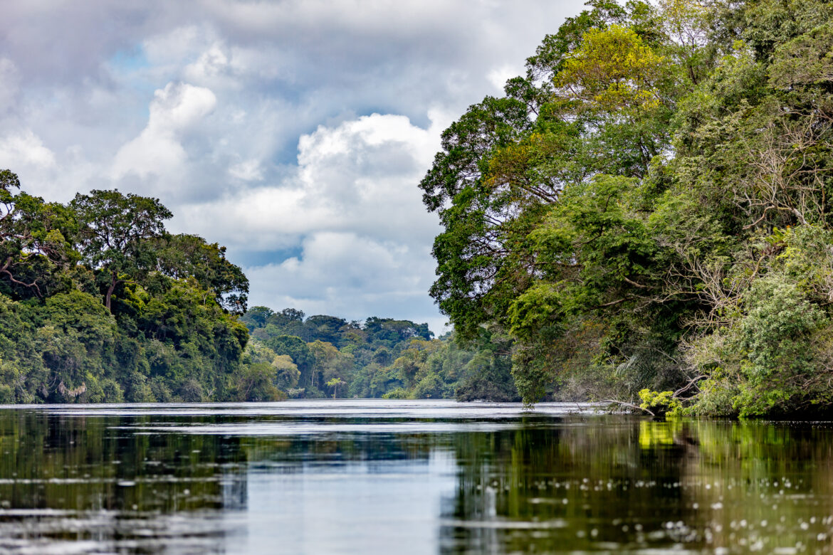 Alla scoperta del Gabon, cuore segreto d’Africa – Rivista Africa