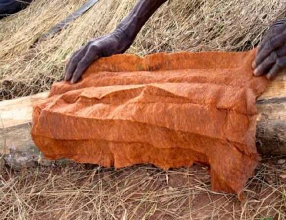 Uganda, alla scoperta del tessuto tradizionale bark cloth | Rivista Africa